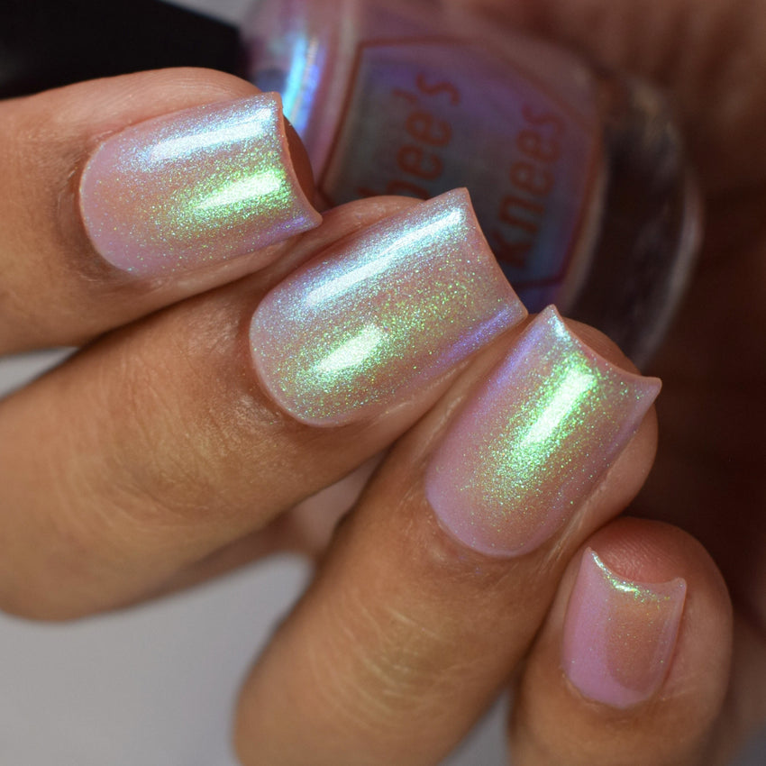 Get Lobstered – Bee's Knees